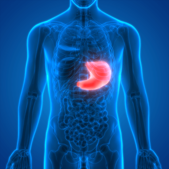 Online CME I Continuing Medical Education | Pri-Med