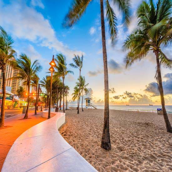 CME/CE Conference in Florida 2023 | Pri-Med® South