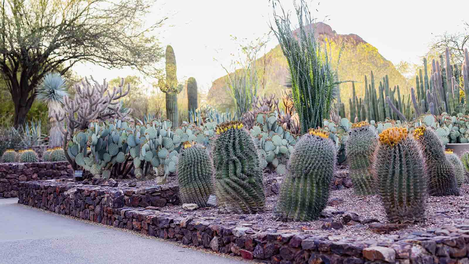 Pri-Med Phoenix - Regional CME/CE Conference Agenda | Day 1